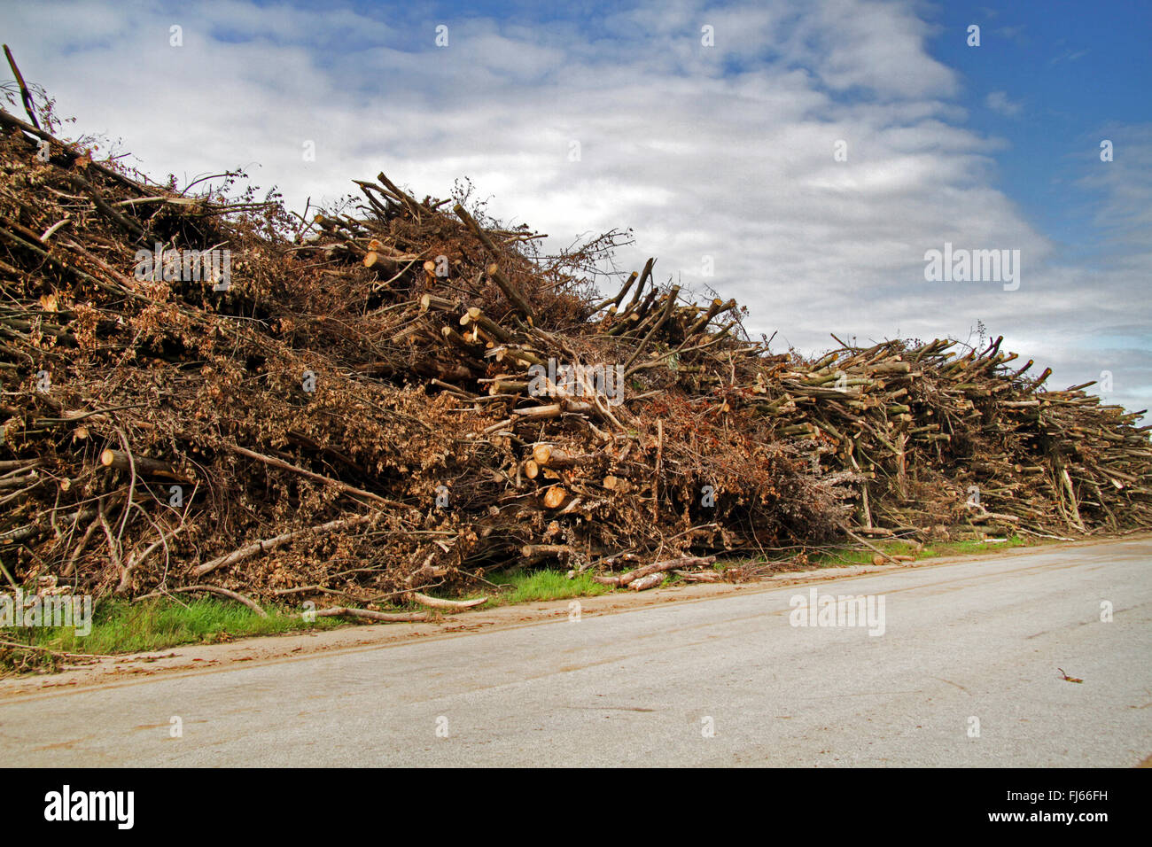 Timber deforestation hi-res stock photography and images - Alamy