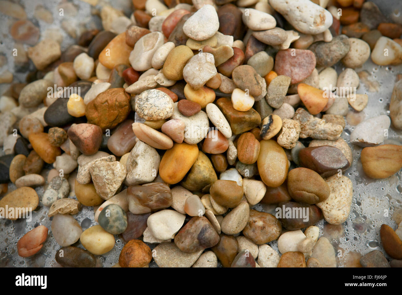 Multicolored wet stones after the rain. Horizontal Stock Photo - Alamy