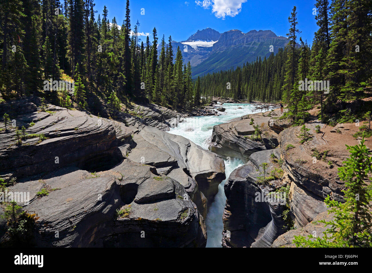Mistaya Canyon, Canada, Alberta, Banff National Park Stock Photo - Alamy