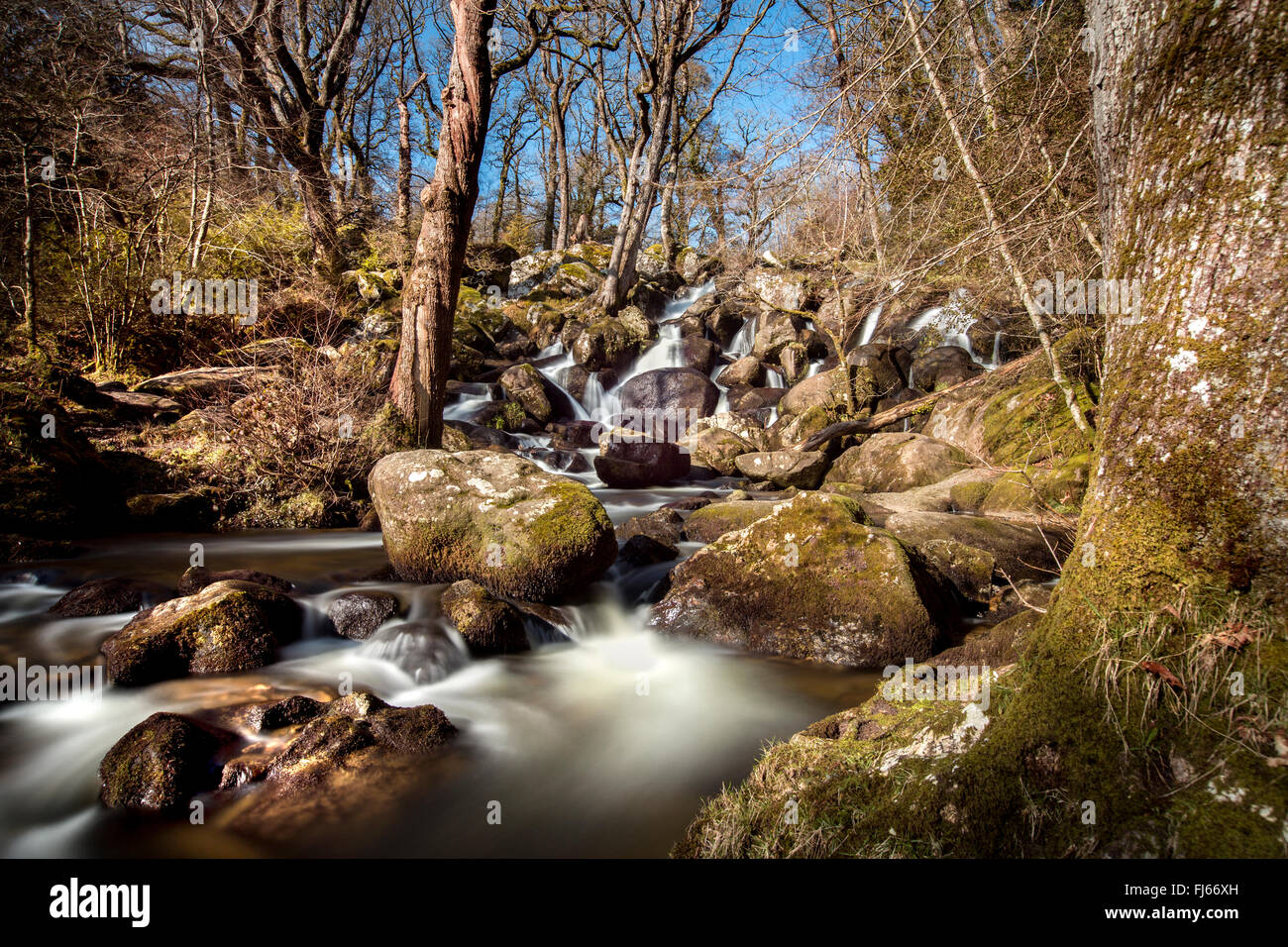 Becky Falls, Dartmoor, Devon Stock Photo - Alamy