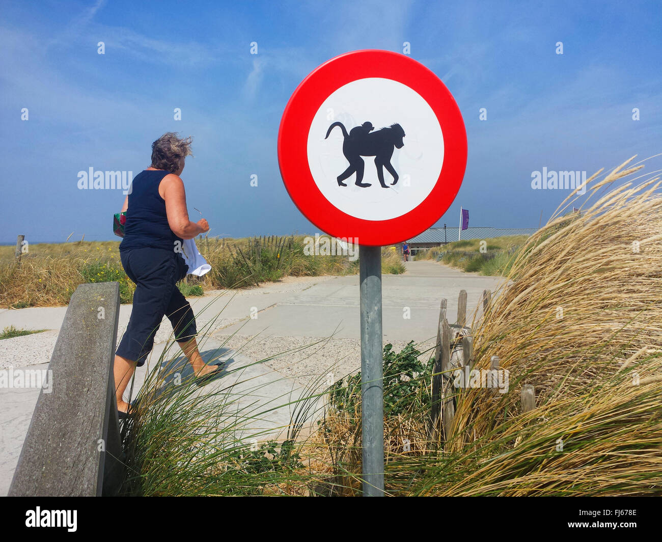 'no admission for apes' prohibition sign at path to the beach ...