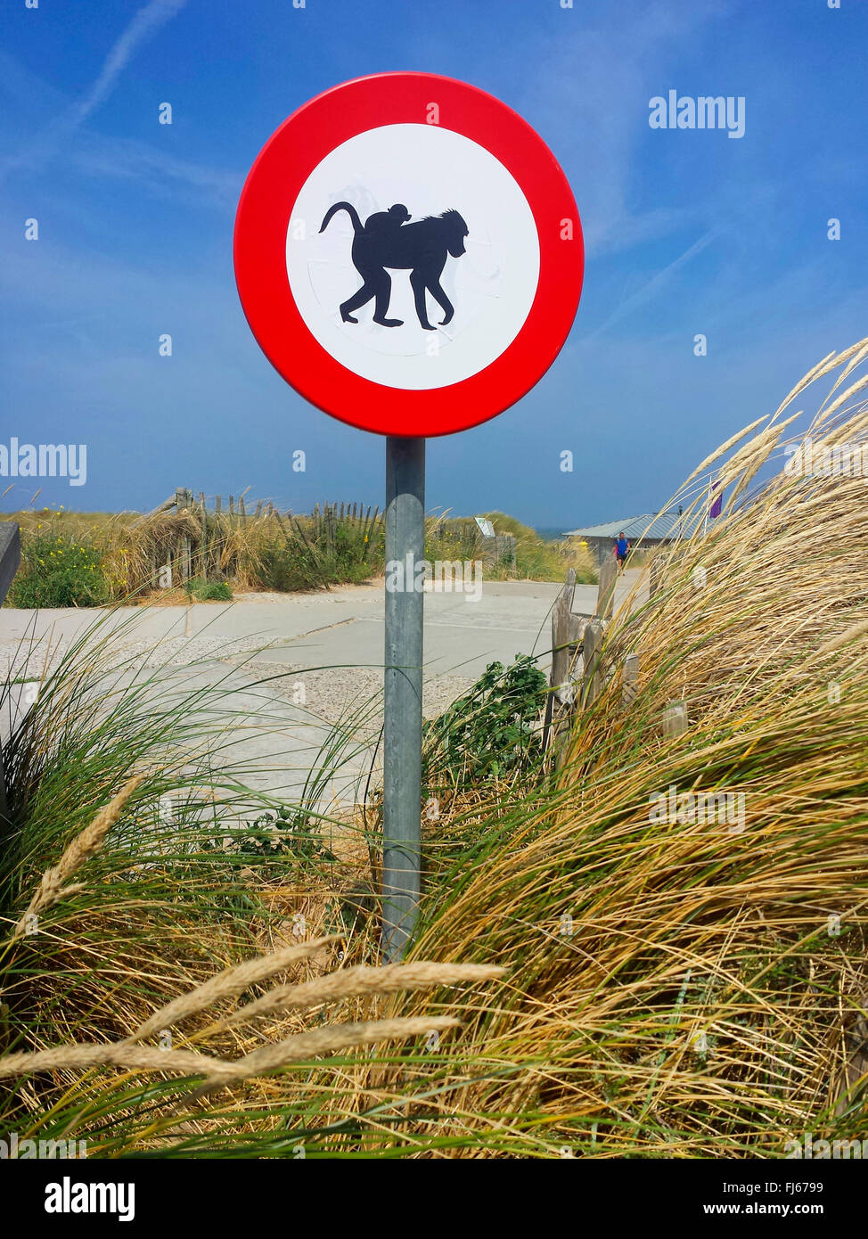 'no admission for apes' prohibition sign at path to the beach ...