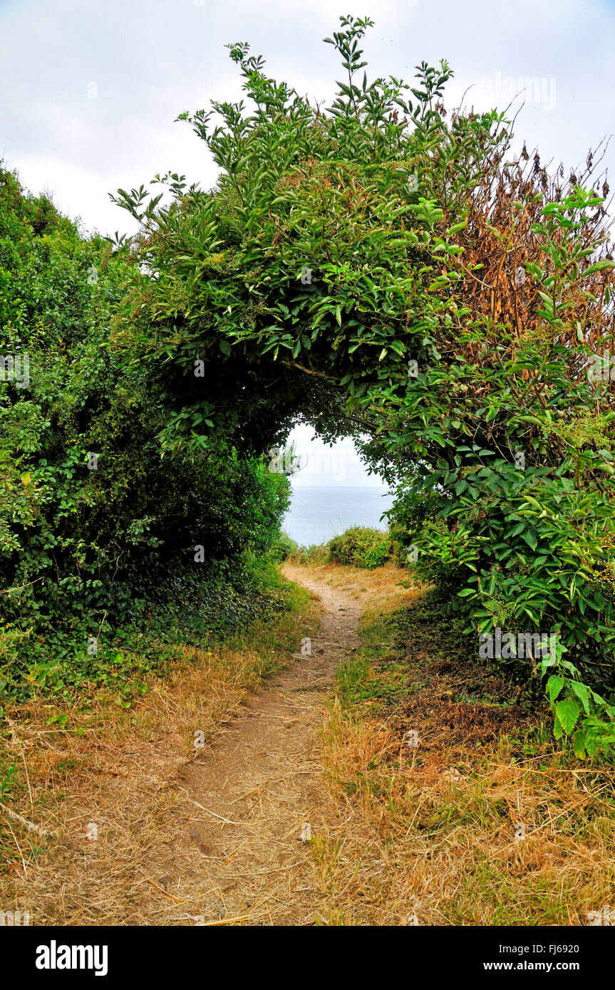 passage through shrubs at coastal walking trail GR34 at the Breton ...