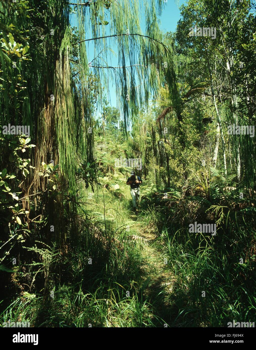 People on trail tourist hi-res stock photography and images - Alamy