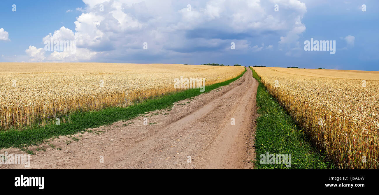 Empty countryside hi-res stock photography and images - Alamy