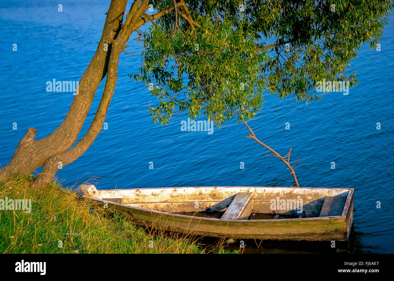 a boat is tied to the tree on the river (film, scan-out Stock Photo - Alamy