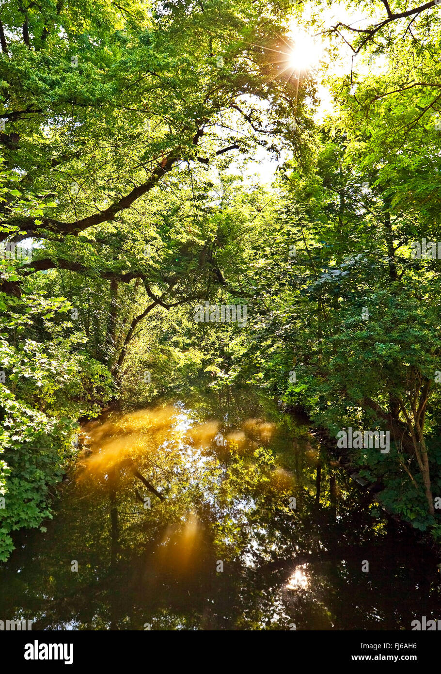 river Schwalm, Germany, North Rhine-Westphalia, Brueggen Stock Photo ...