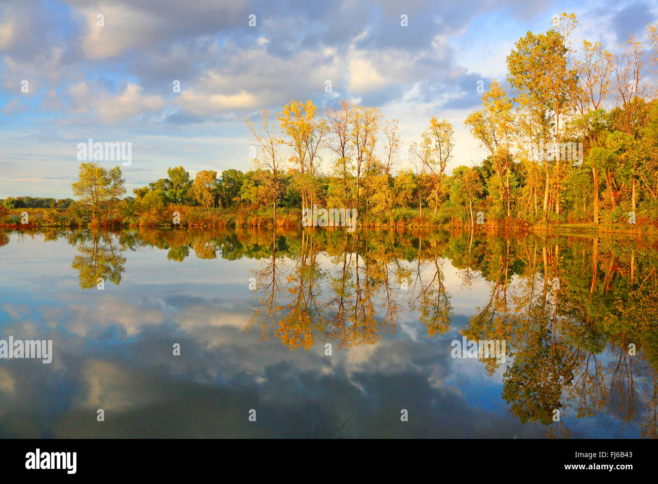autumn in Holiday Beach Reserve, mirror image, Canada, Ontario ...