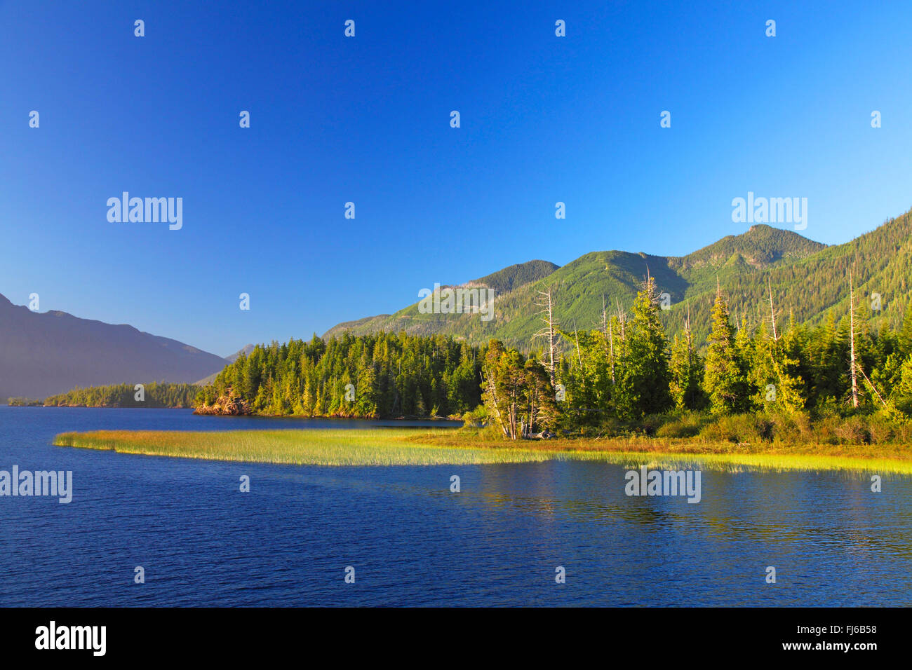 Kennedy River, Ucluelet, Canada, Vancouver Island Stock Photo - Alamy