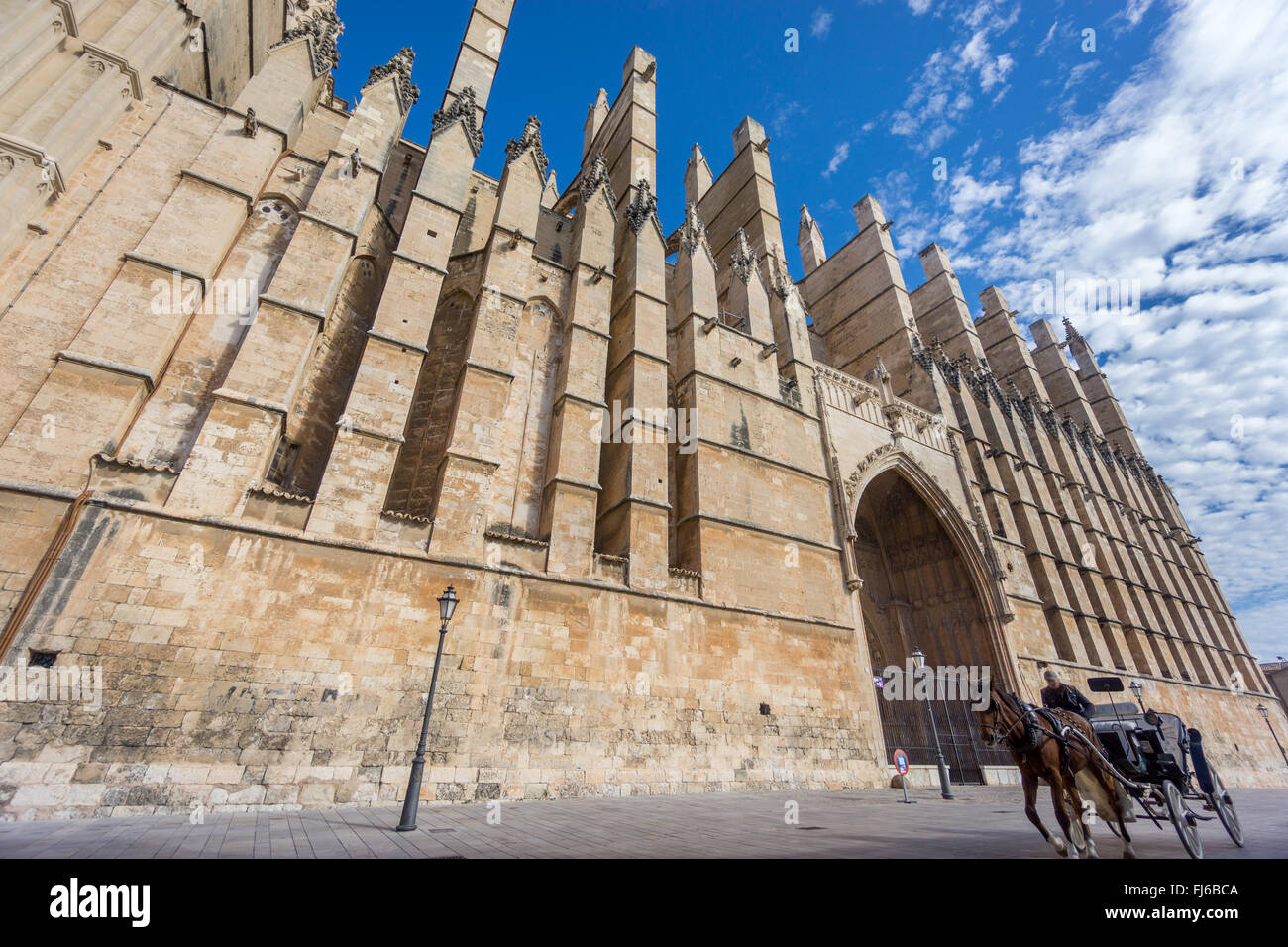 Cathedral of Palma de Majorca and carriage Stock Photo - Alamy