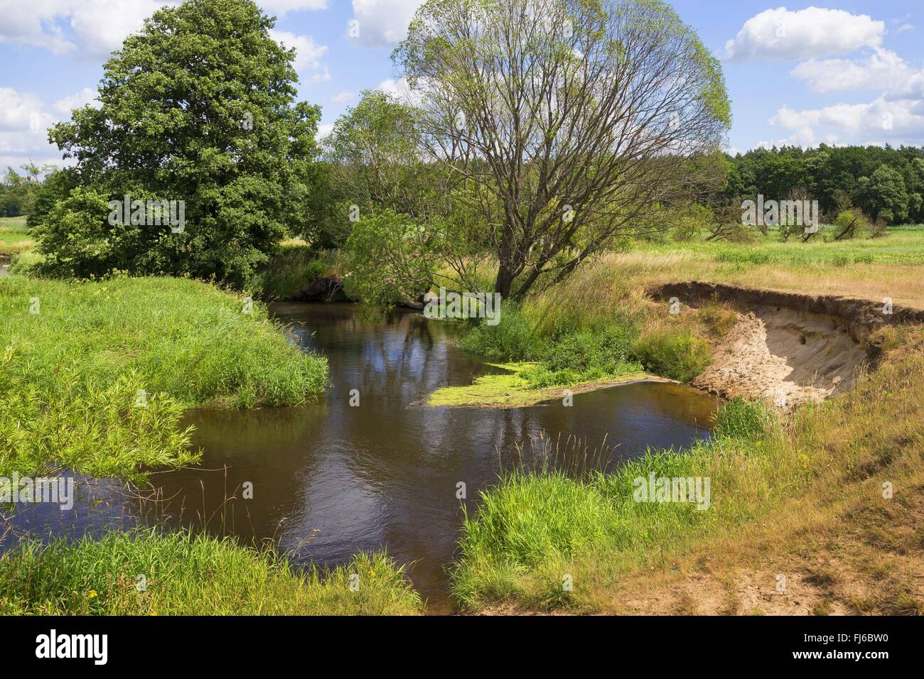 natural creek Schaale, Germany Stock Photo - Alamy