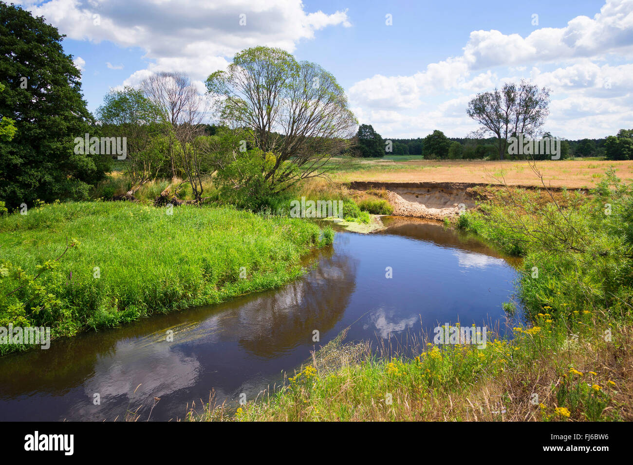 Meandrous creek hi-res stock photography and images - Alamy