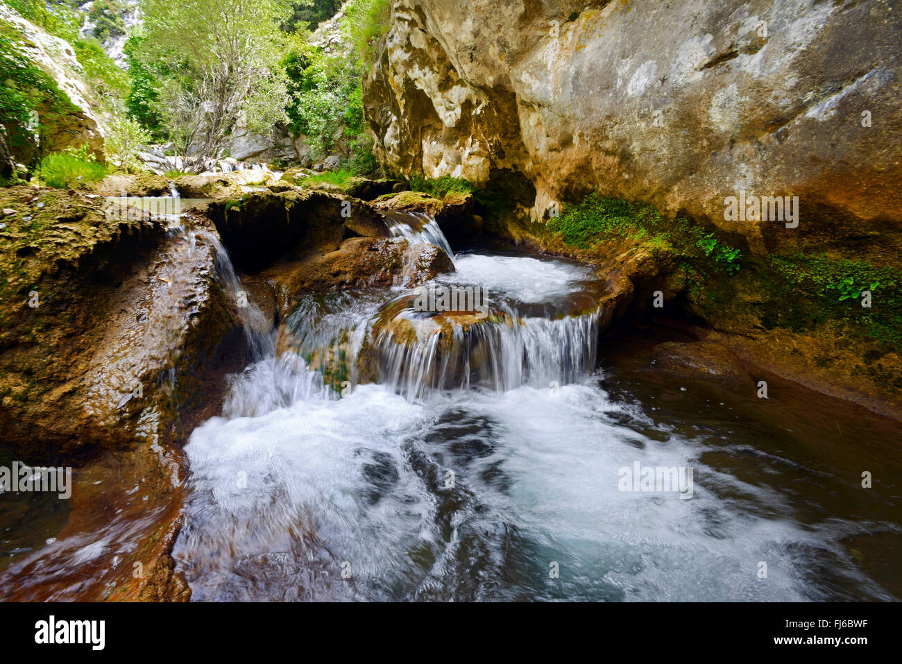 little torrent of la Pare de la Siagne, France, Alpes Maritimes, Grasse ...