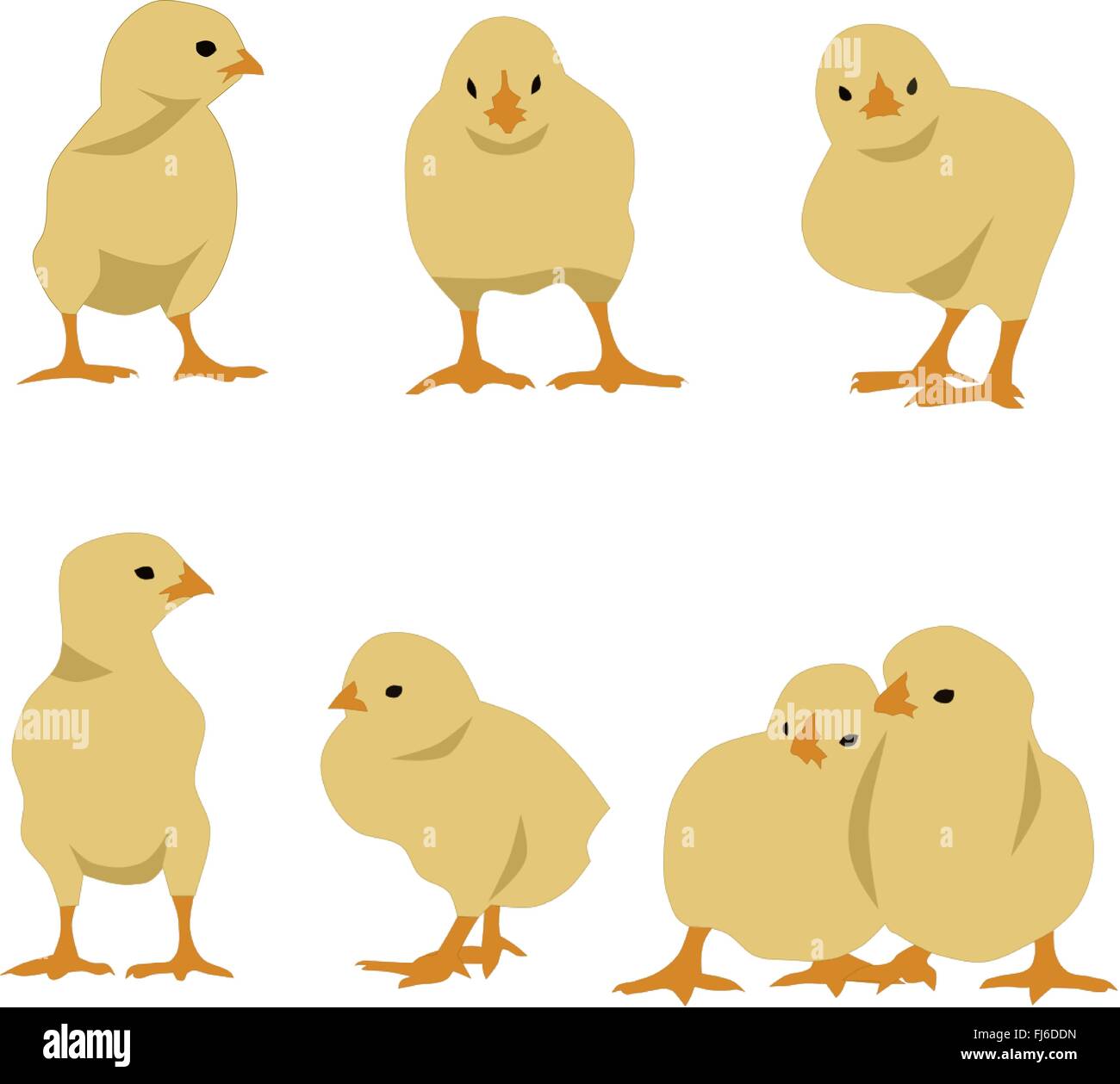 Set of chickens, vector Stock Vector Image & Art - Alamy