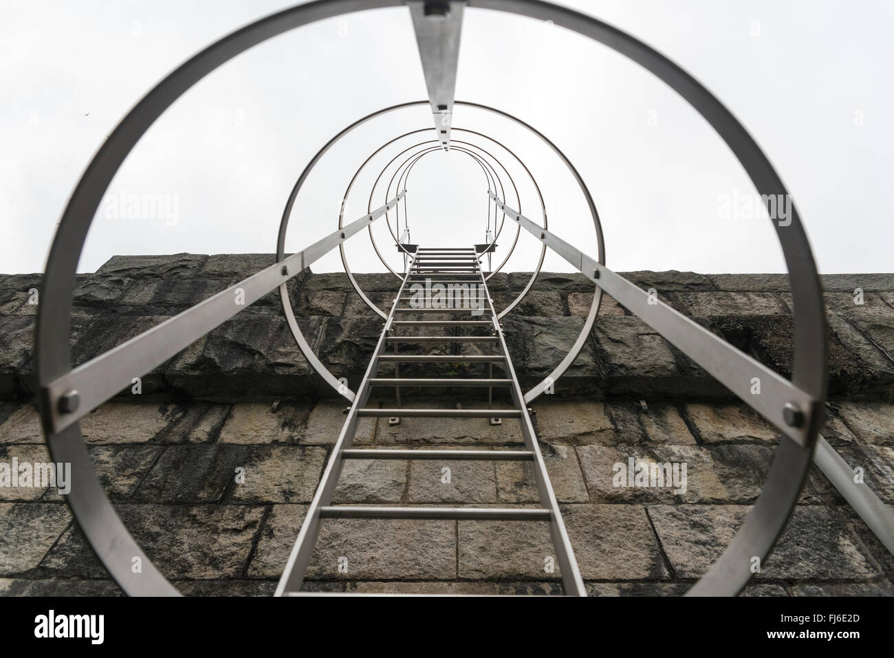 Metal ladder leading upward to the sky Stock Photo - Alamy