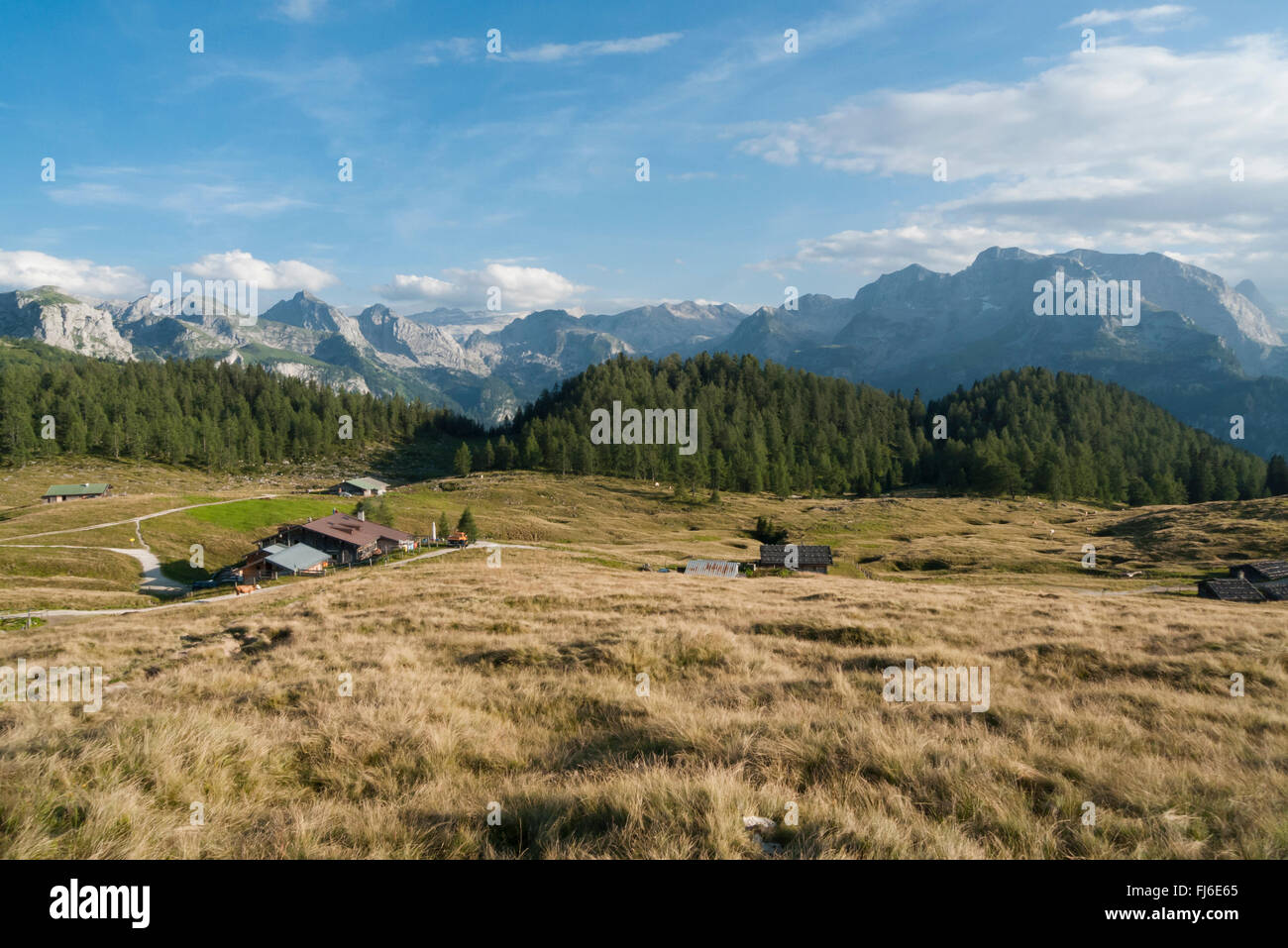 Gotzenalm alpine meadows with mountains of Berchtesgaden Alps in summer ...
