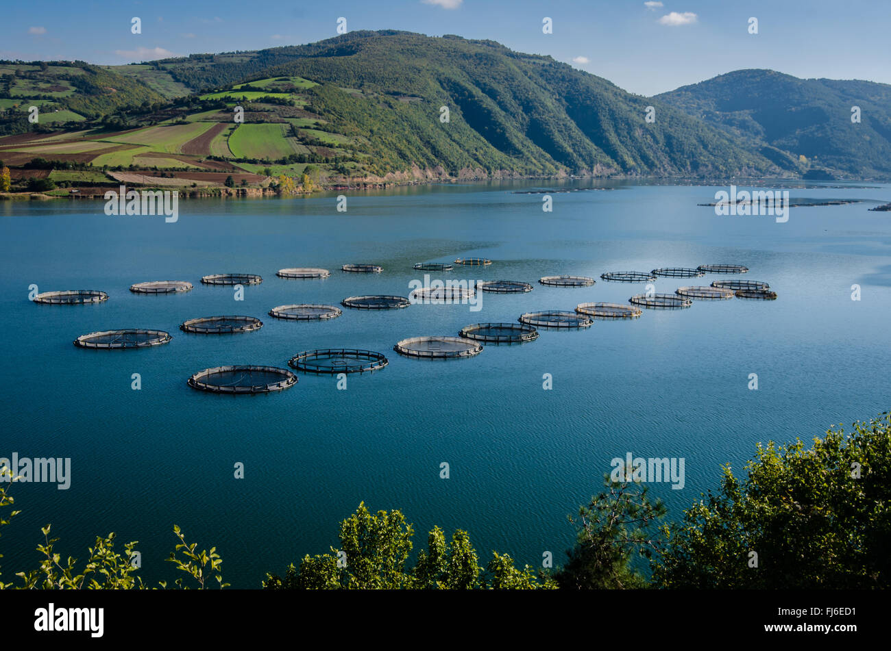 Aquaculture Fish Farm High Resolution Stock Photography and Images - Alamy