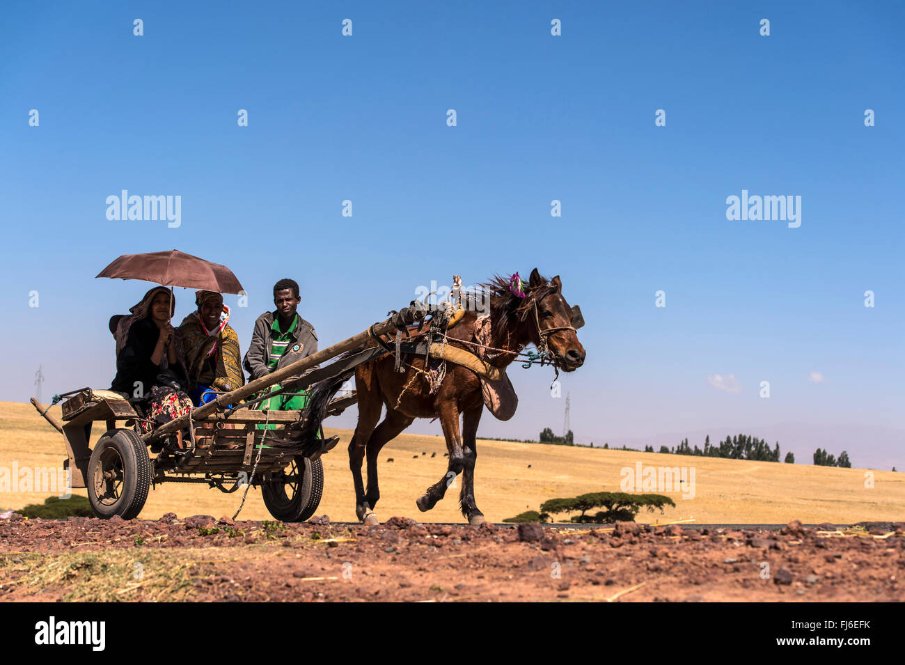 Horse carriage, Ethiopia, Africa Stock Photo - Alamy