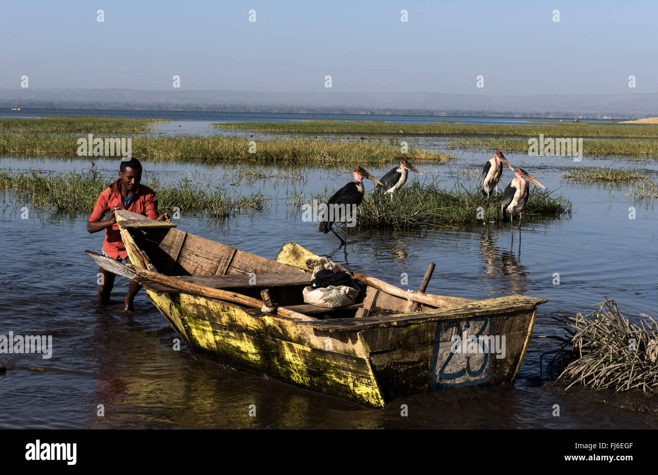 Local people fishing Awasa Lake, Ethiopia, Africa Stock Photo - Alamy