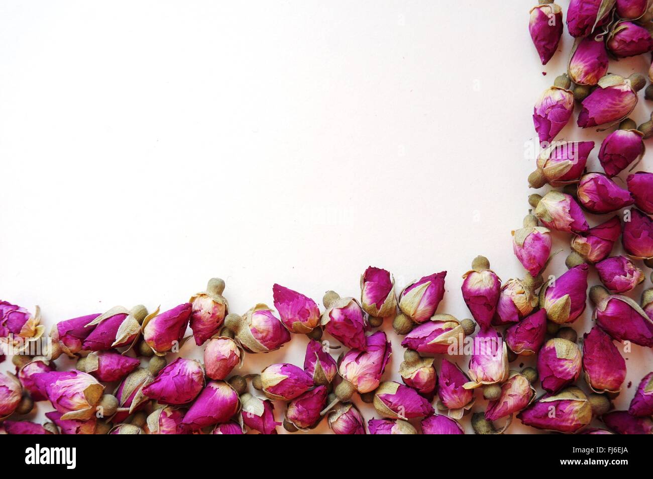 Border frame of romantic dried pink rose buds Stock Photo - Alamy
