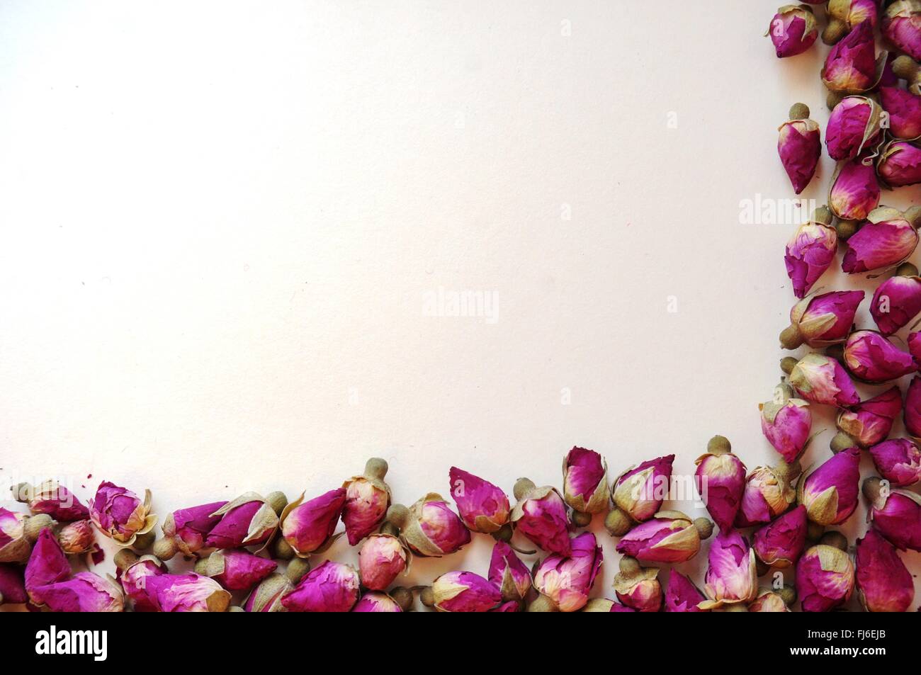 Border frame of romantic dried pink rose buds Stock Photo - Alamy
