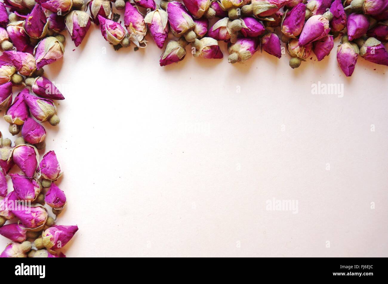 Border frame of romantic dried pink rose buds Stock Photo - Alamy