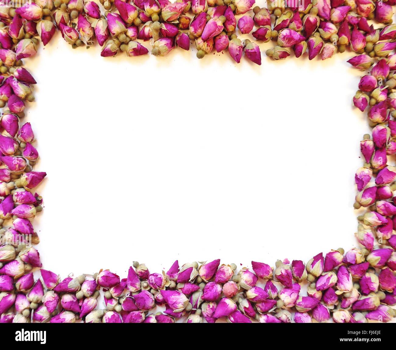 Border frame of romantic dried pink rose buds Stock Photo - Alamy