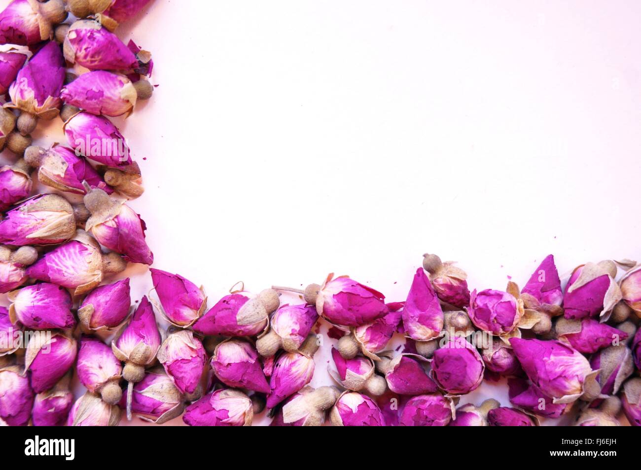 Border frame of romantic dried pink rose buds Stock Photo - Alamy