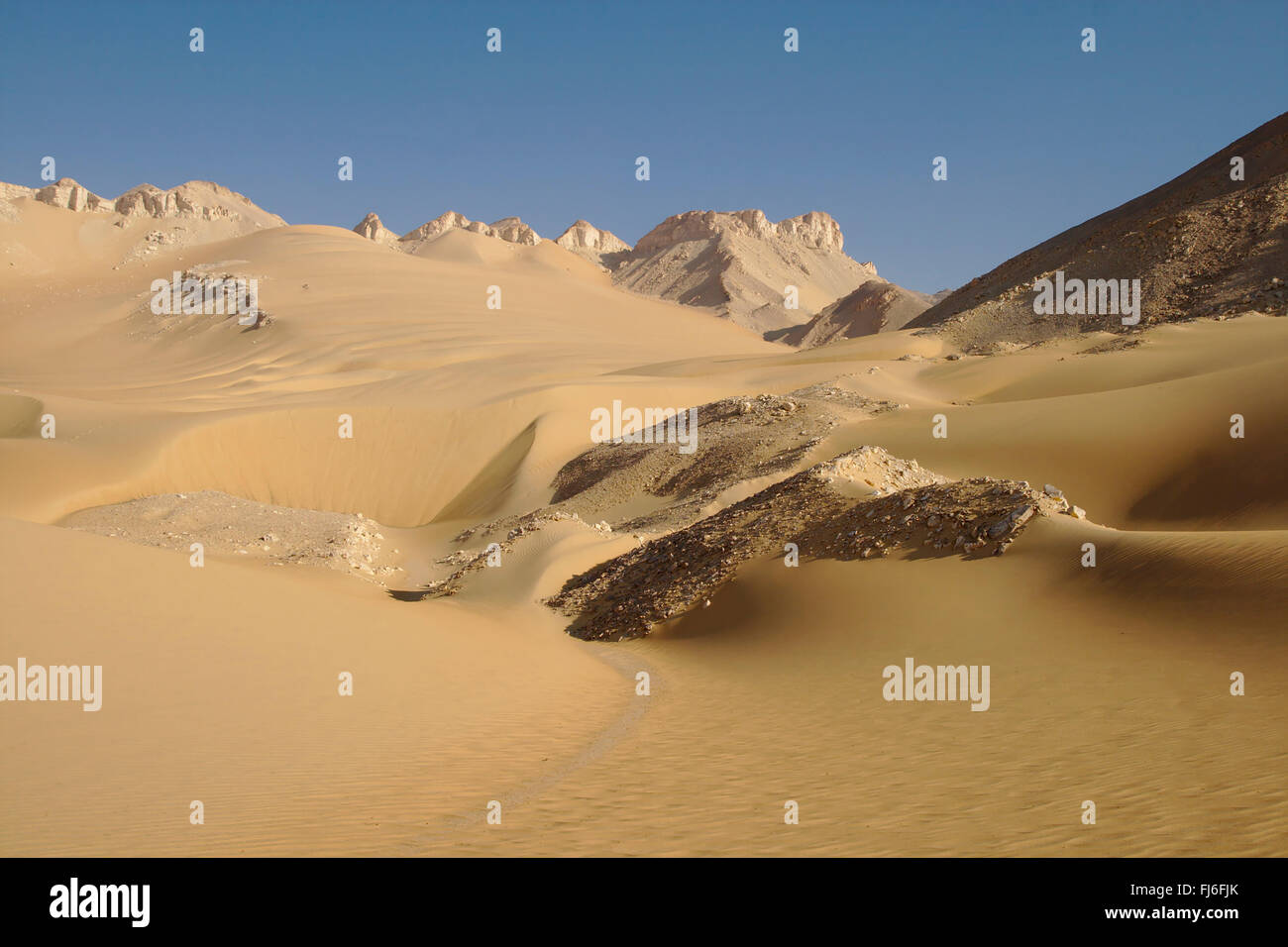 Parabolic sand dune hi-res stock photography and images - Alamy