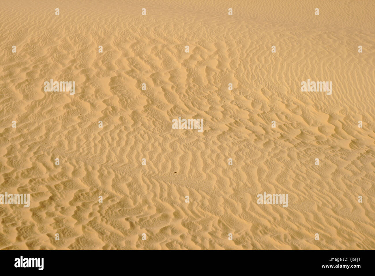 Sand ripples in the desert, Dakhla Oasis, Egypt Stock Photo - Alamy