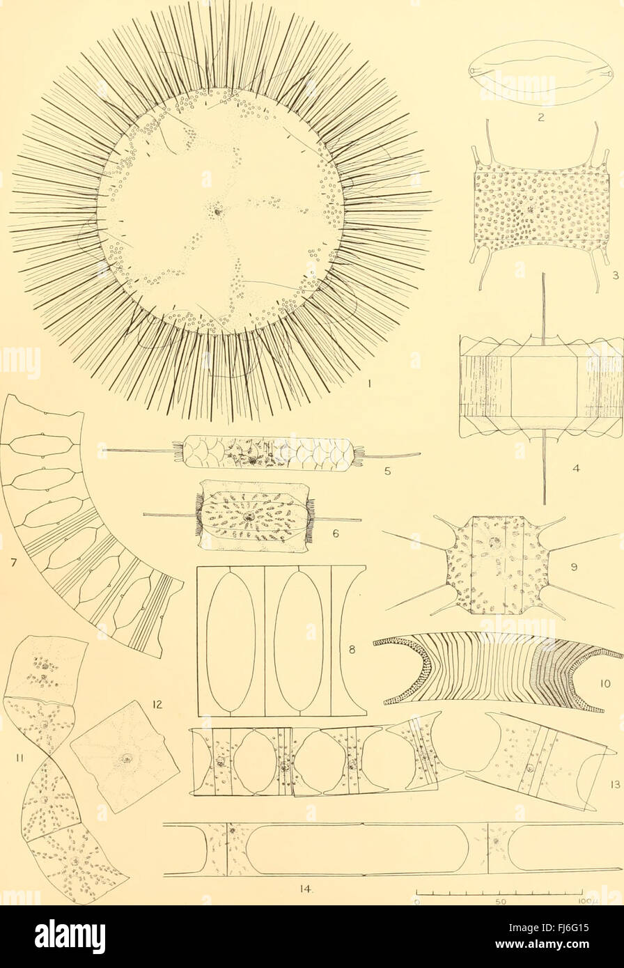 Reports documenting new discoveries and scientific findings from ...