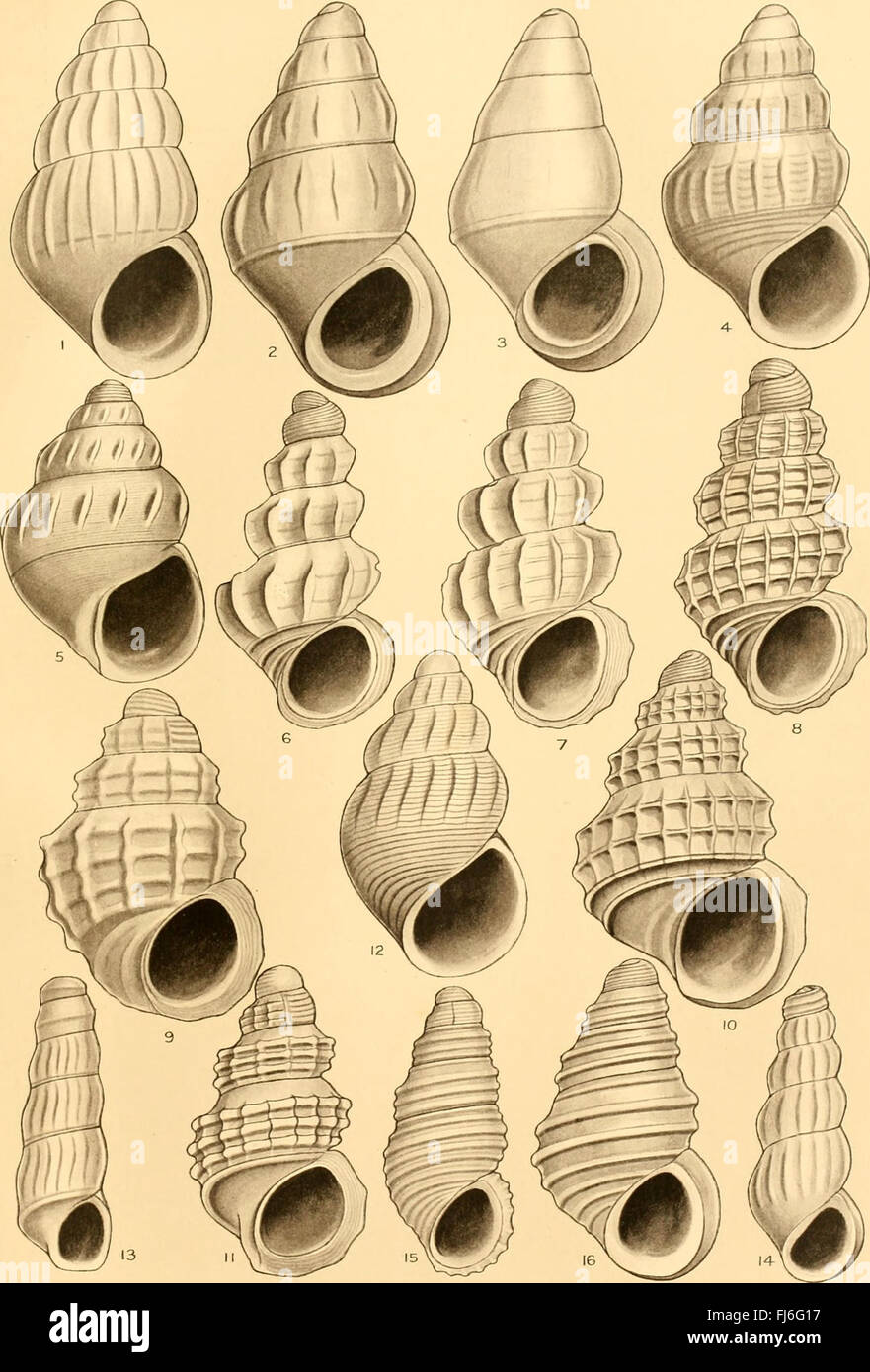 A series of scientific discovery reports published in 1937, documenting ...