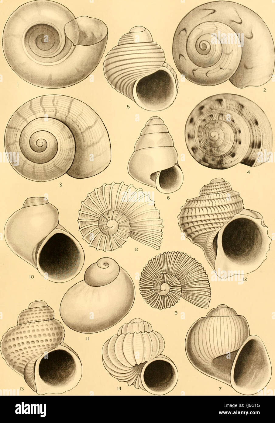 A collection of research and exploration reports from 1937, documenting ...