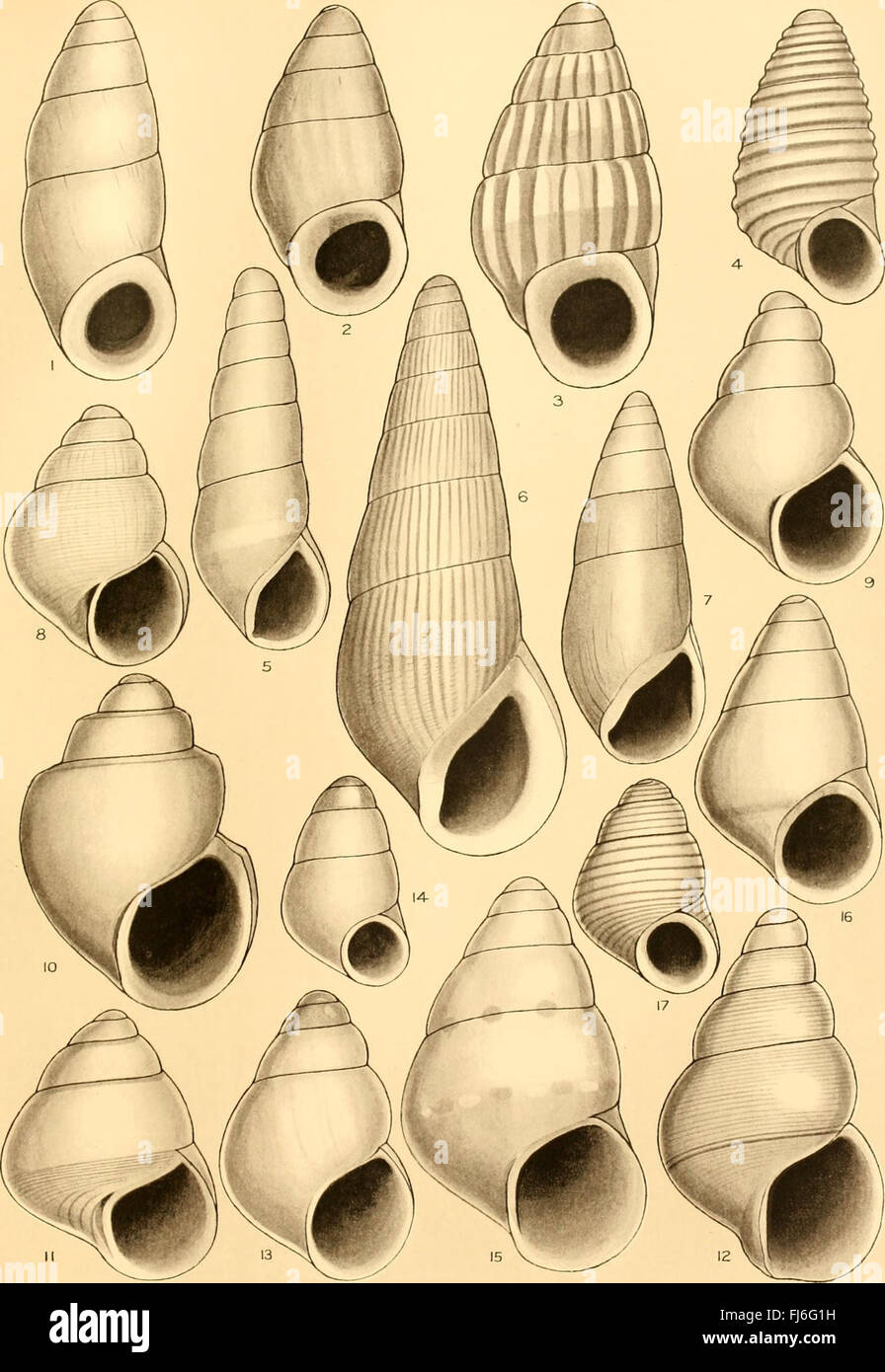 A series of scientific reports documenting major discoveries across ...