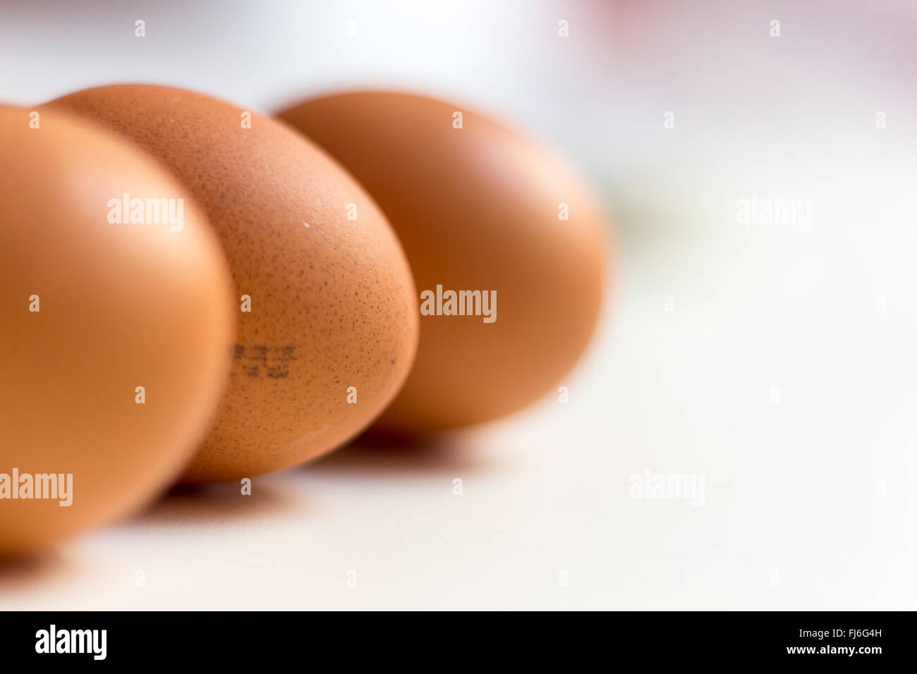 Hen and eggs hi-res stock photography and images - Alamy