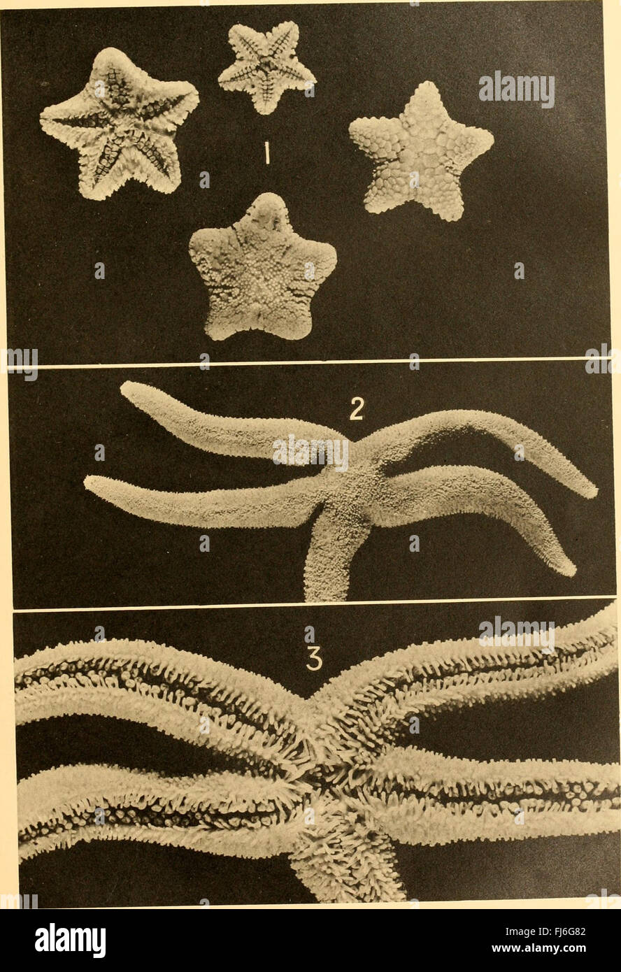 Discovery reports (1941) - Scientific reports on significant ...