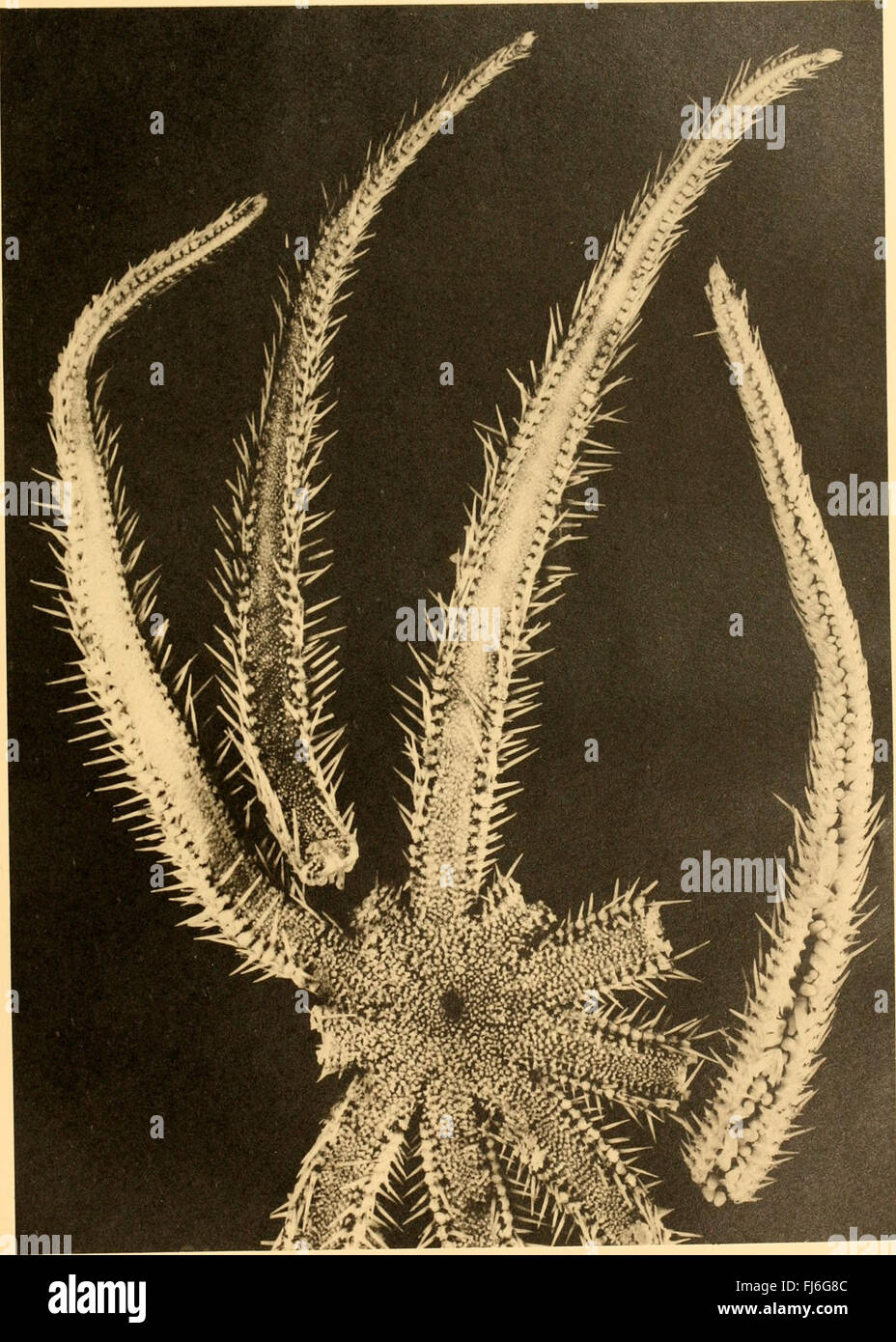 Discovery Reports (1941), documenting new findings and research in ...