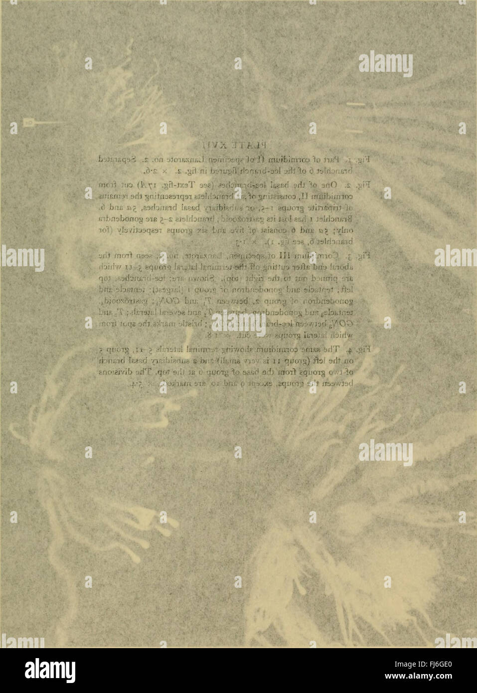 Scientific reports, biological research, field studies, ecological ...