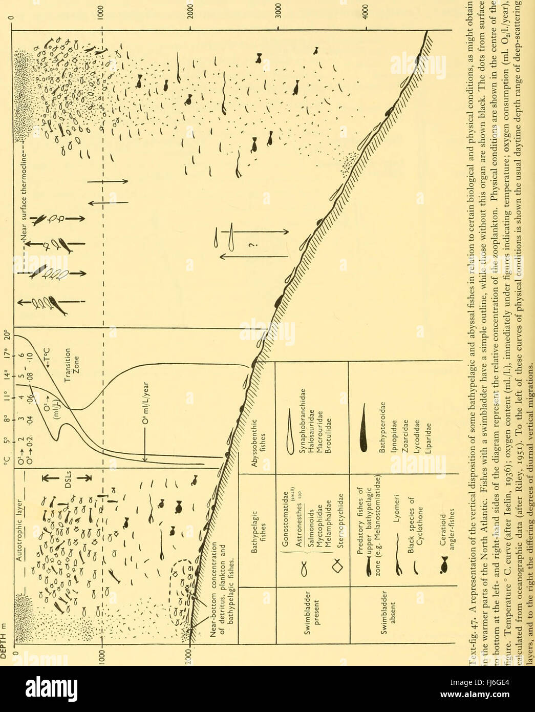 Reports documenting significant scientific discoveries across various ...