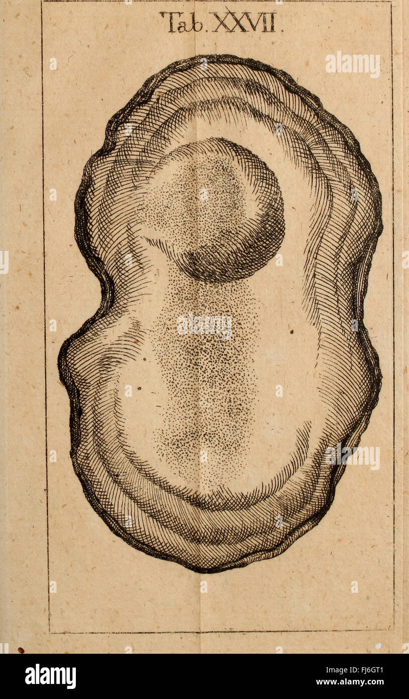 Early scientific papers hi-res stock photography and images - Alamy
