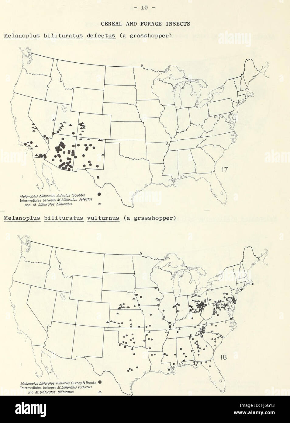 A scientific publication detailing distribution maps of various insect ...