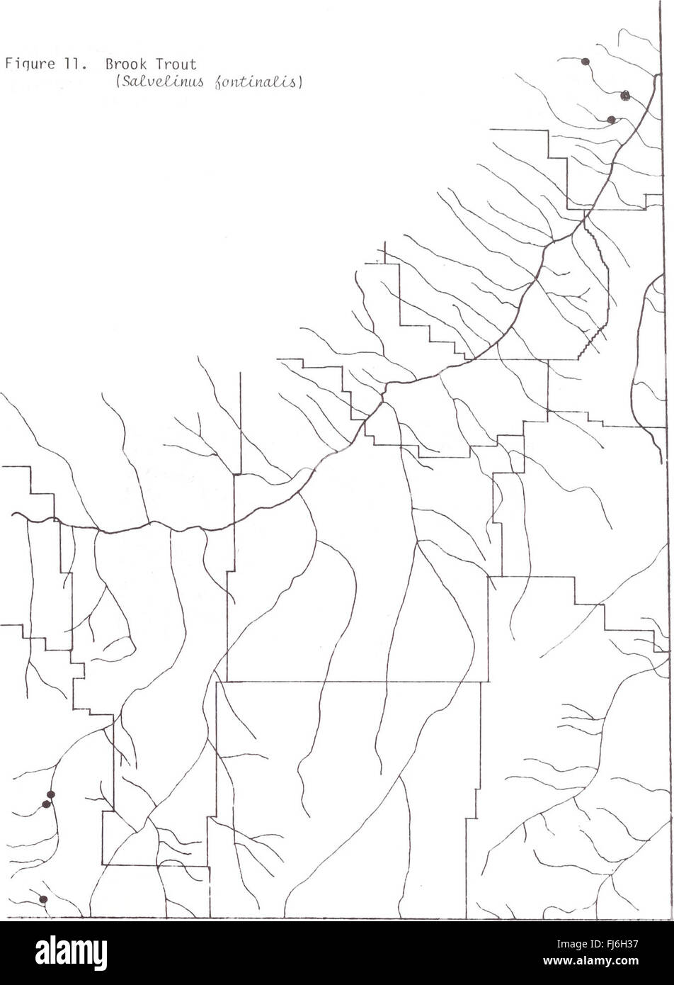 A research study documenting the distribution of fish species in ...