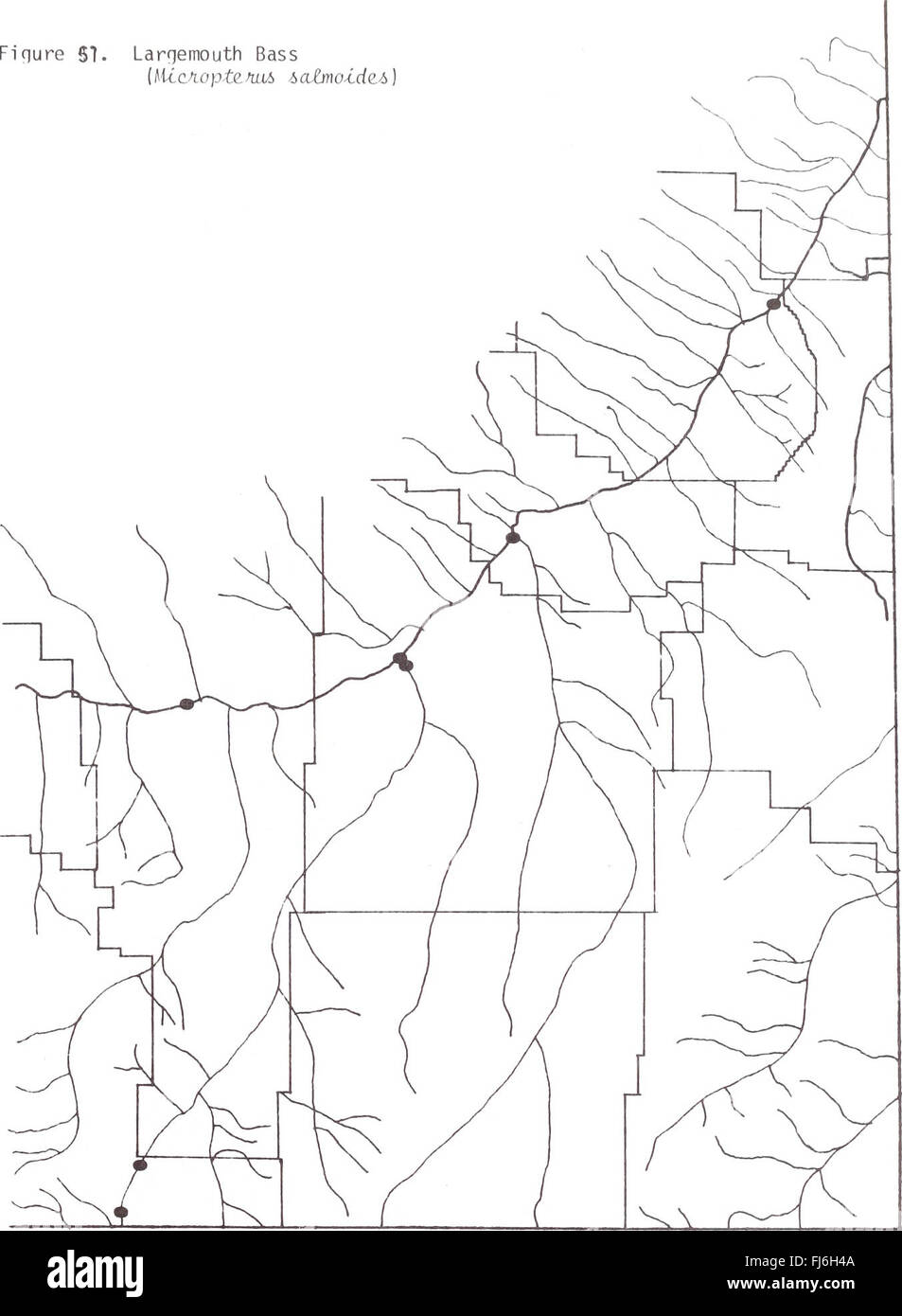 A 1980 report detailing the distribution of fish species in ...