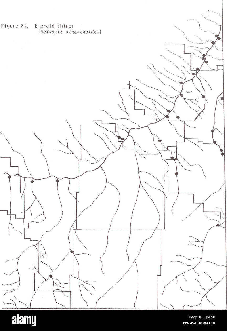 Fish distribution, southeastern Montana, ichthyology, aquatic ...