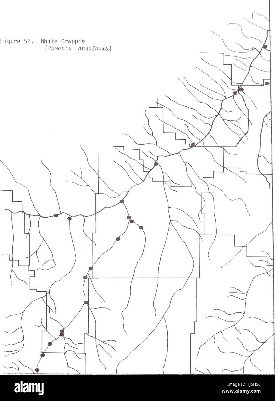 Distribution of fishes in southeastern Montana (1980), Fish species ...