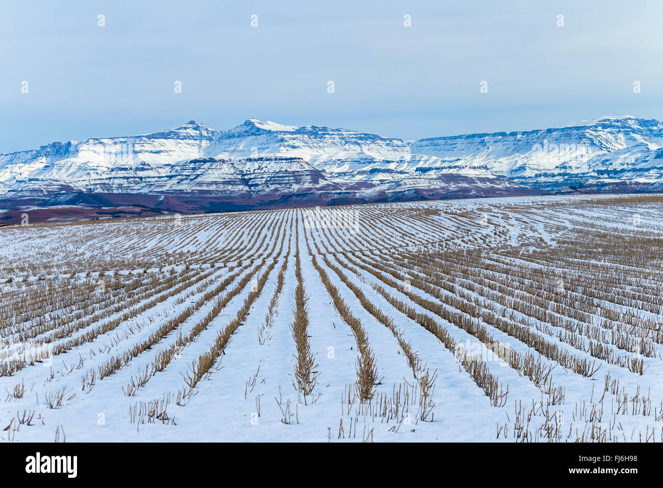 Winter mountains snow farming landscape with crops harvested Stock ...