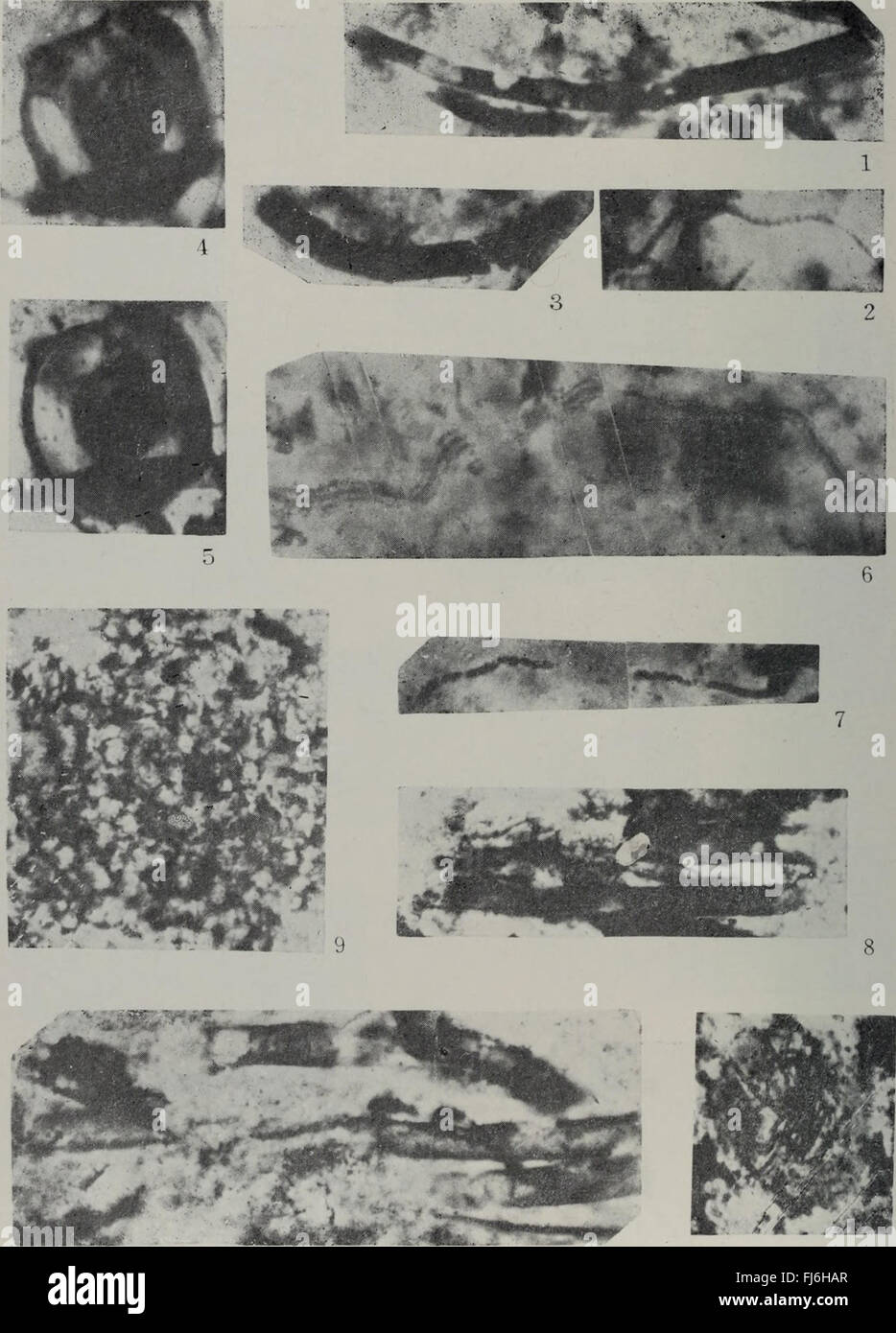 Guo yì hi-res stock photography and images - Alamy