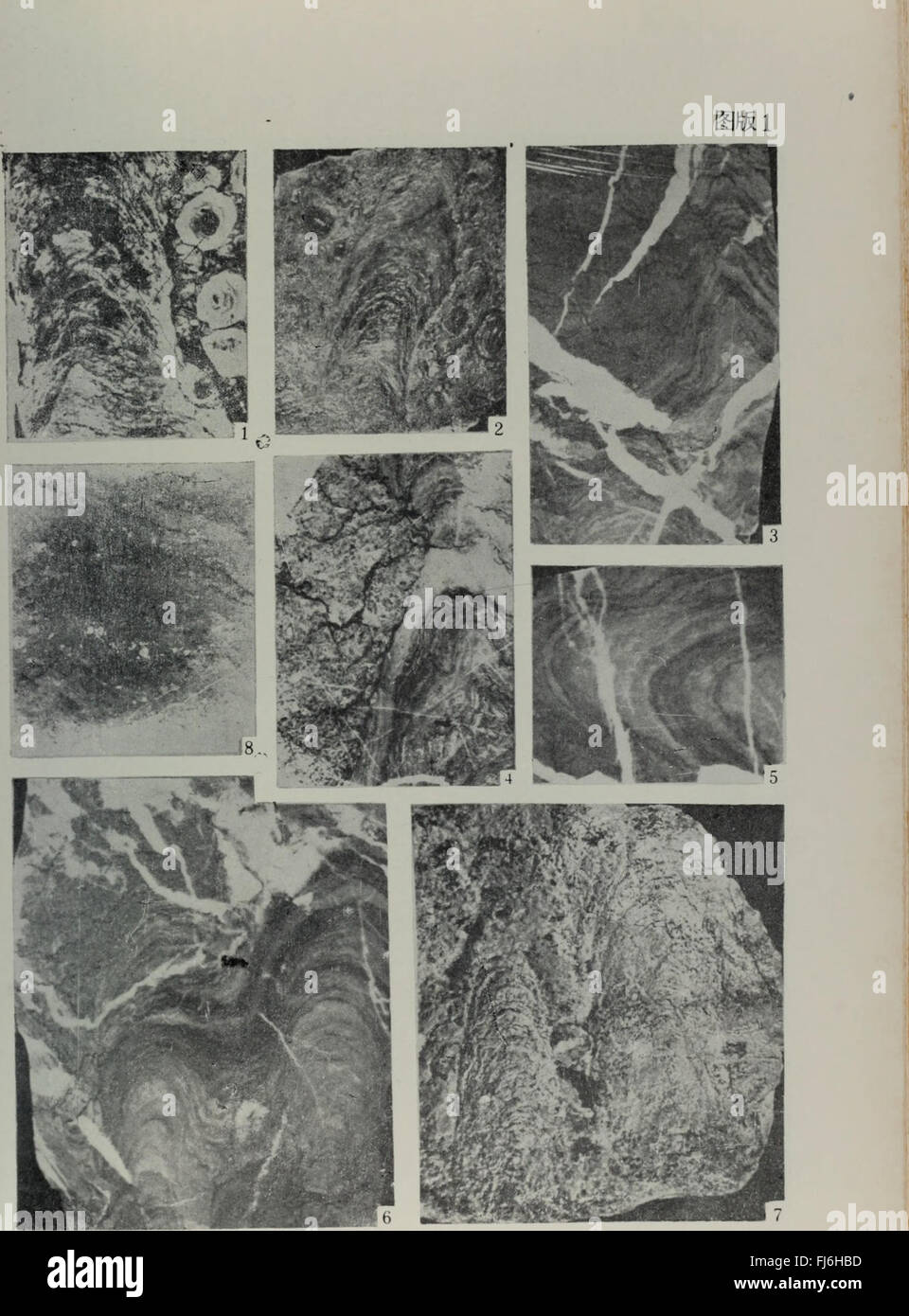 Zao letter hi-res stock photography and images - Alamy