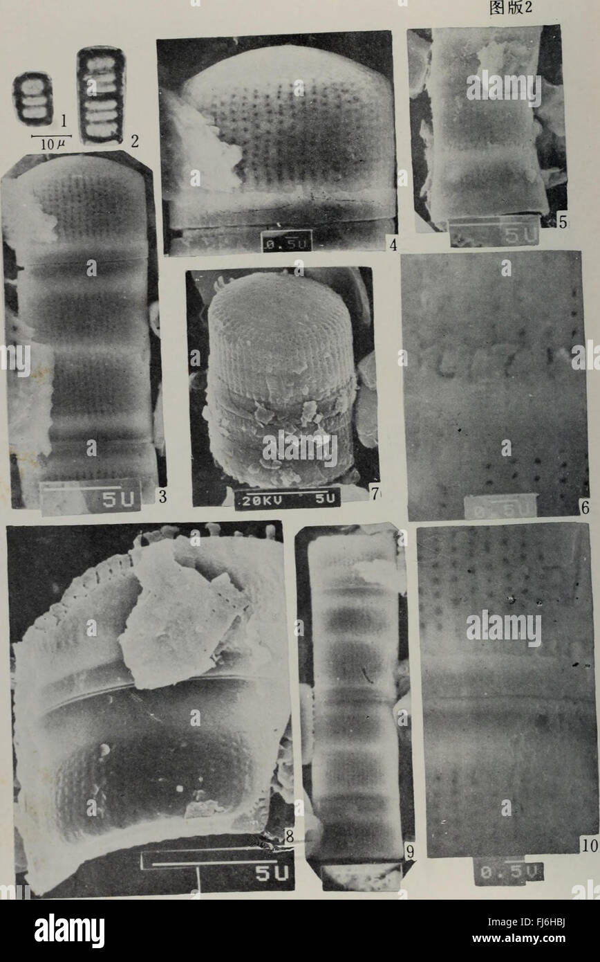 Zao letter hi-res stock photography and images - Alamy