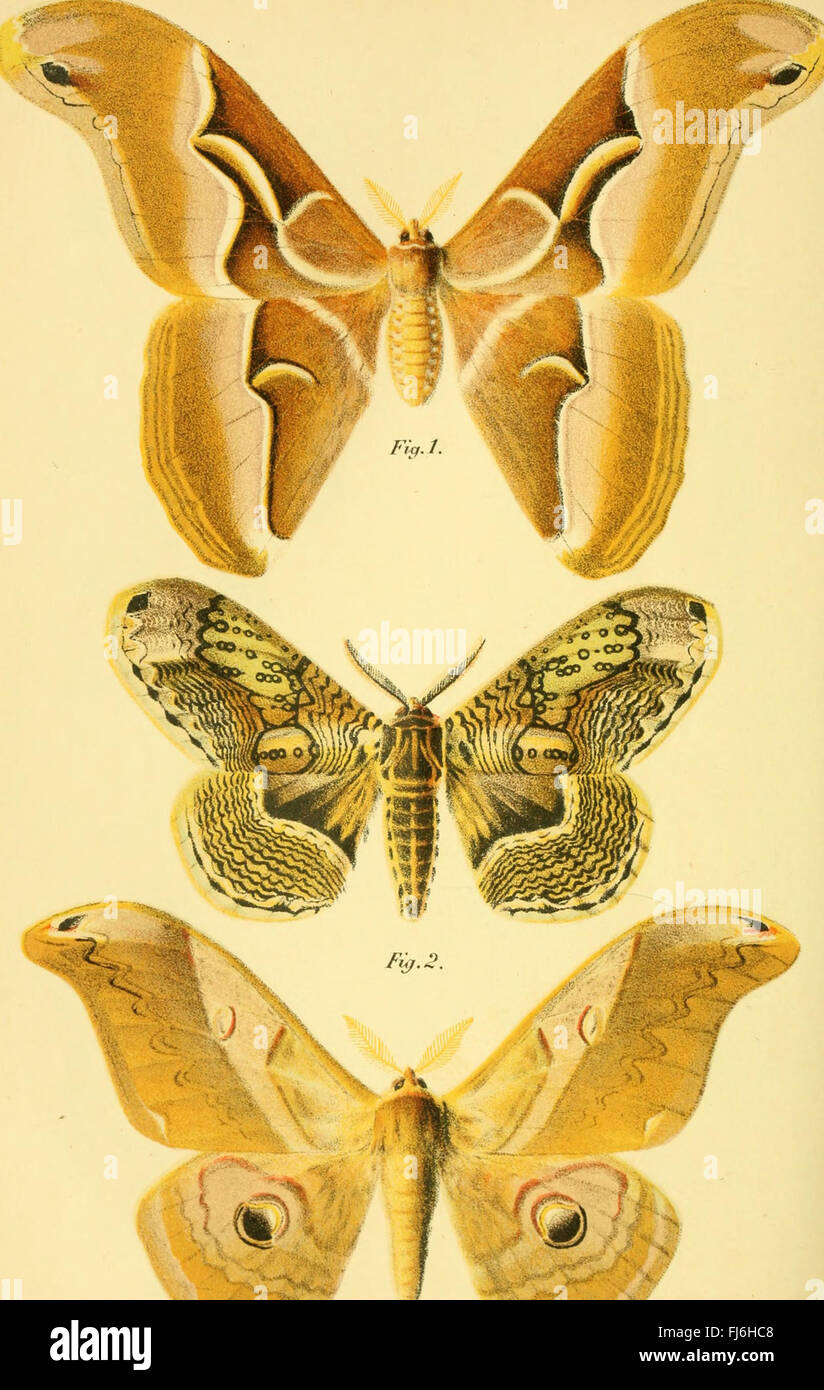 A 1889 zoological journal from Japan, discussing various animal species ...